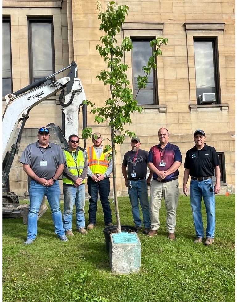 County Completes Tree Planting Project At Government Offices ...